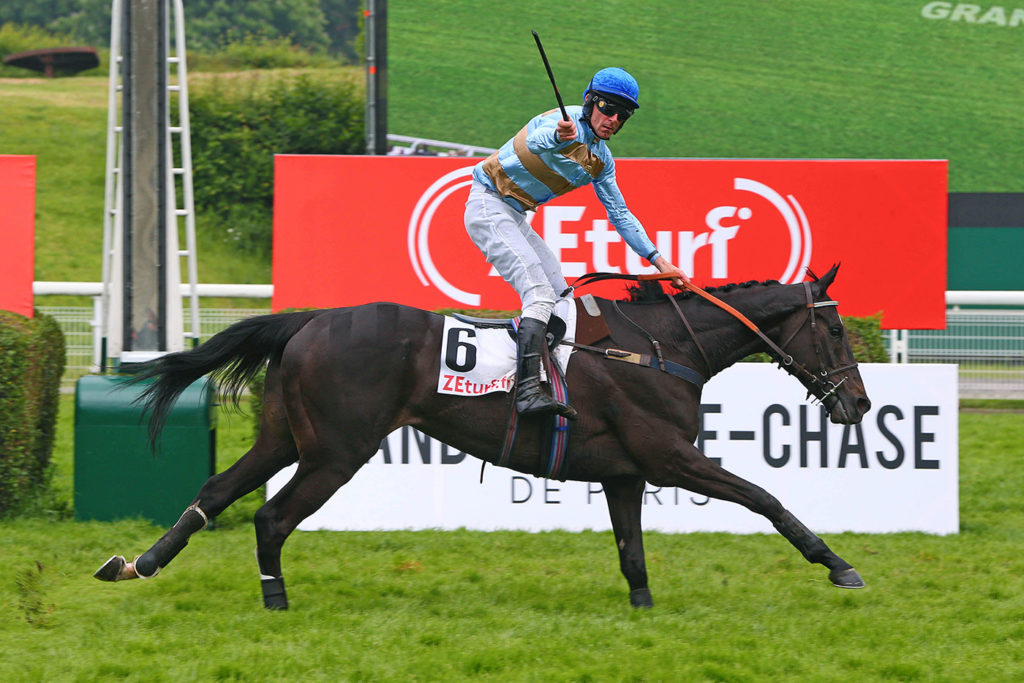 CALIFET 1998-2021 - Boardsmill Stud