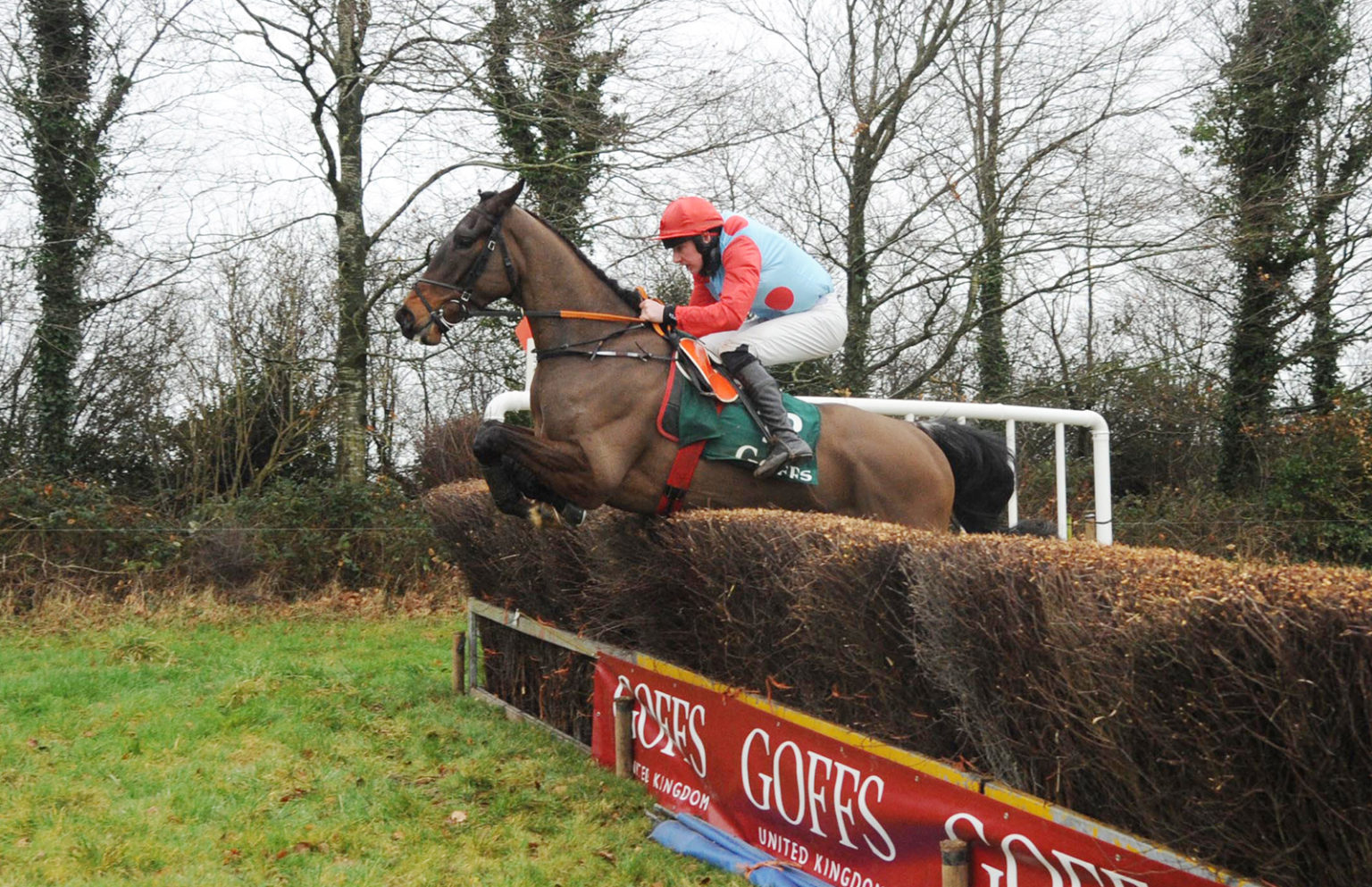 Listowel double for COURT CAVE - Boardsmill Stud