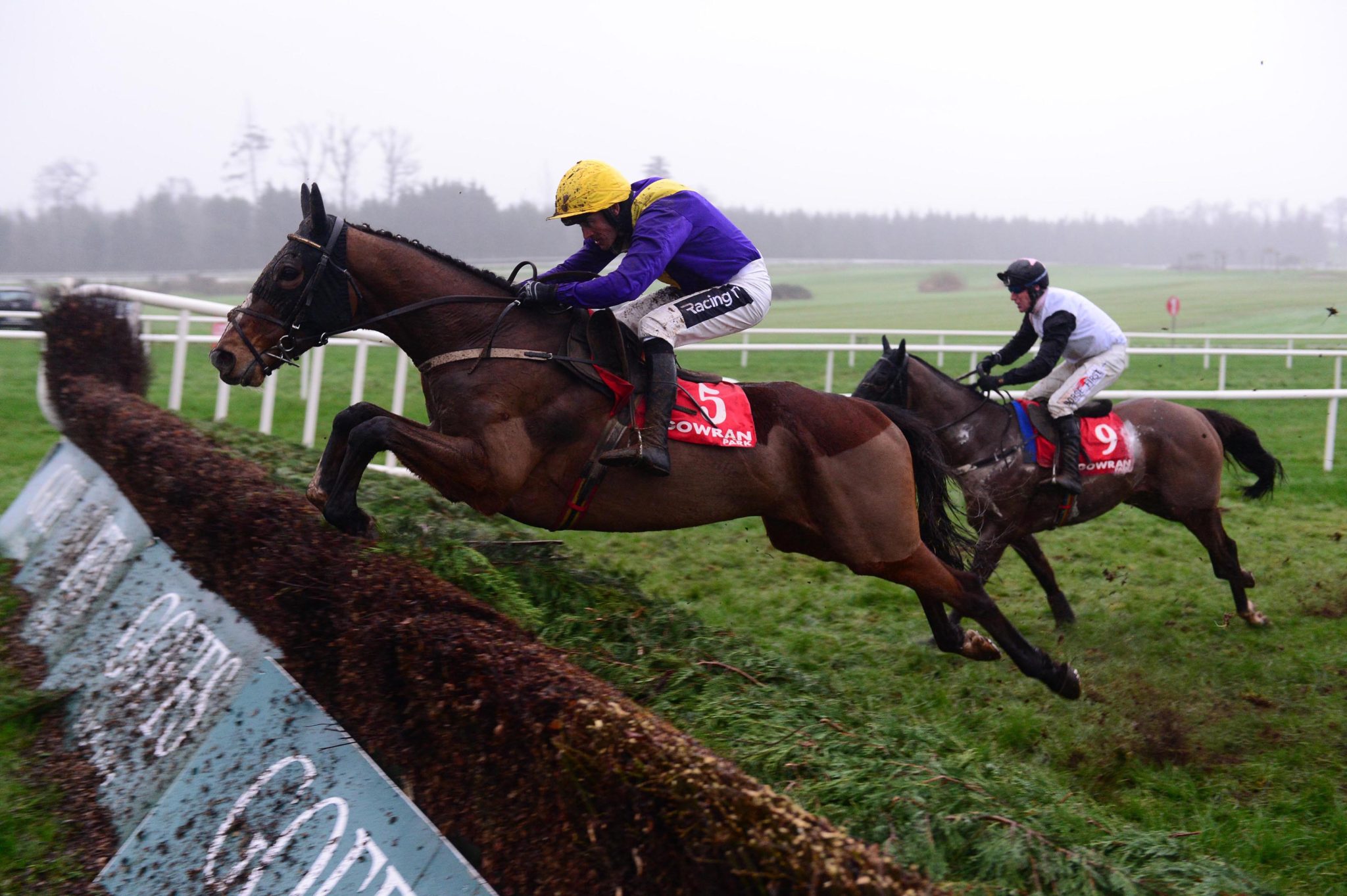 CALIFET 1998-2021 - Boardsmill Stud