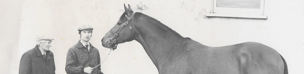 About - Boardsmill Stud