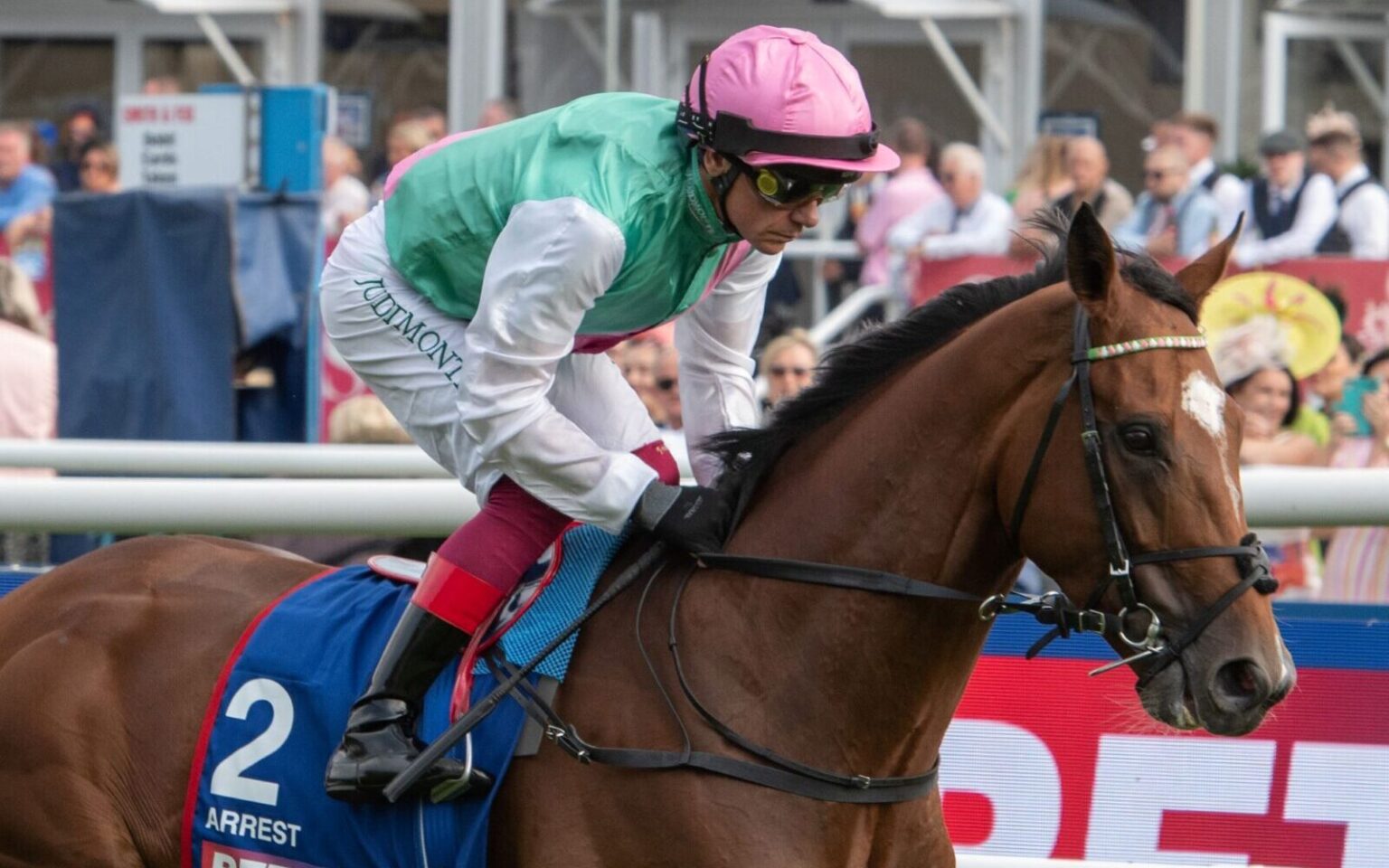 Home - Boardsmill Stud